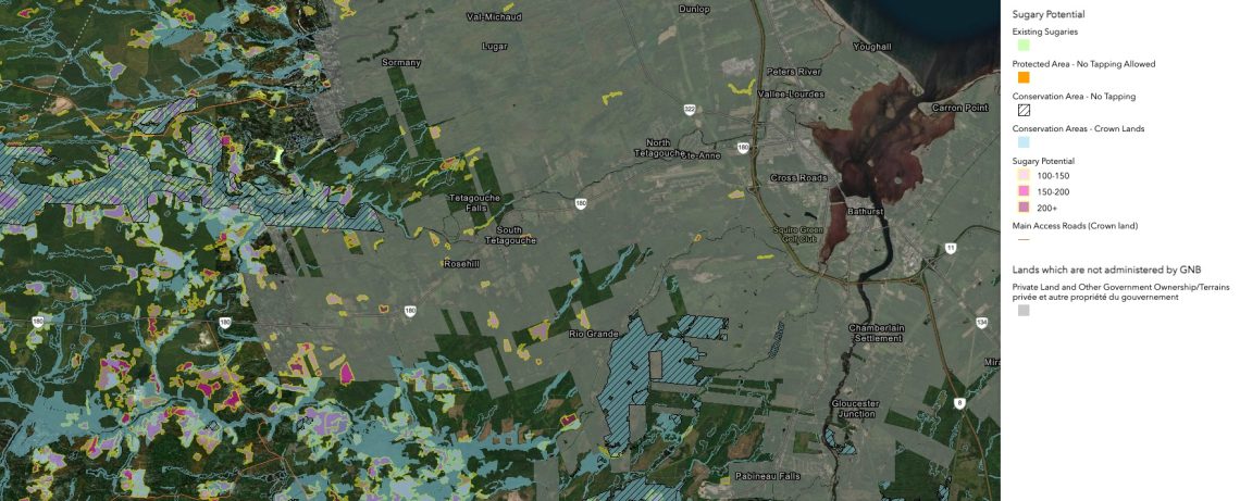 Expansion of land for maple syrup producers raises questions about ...