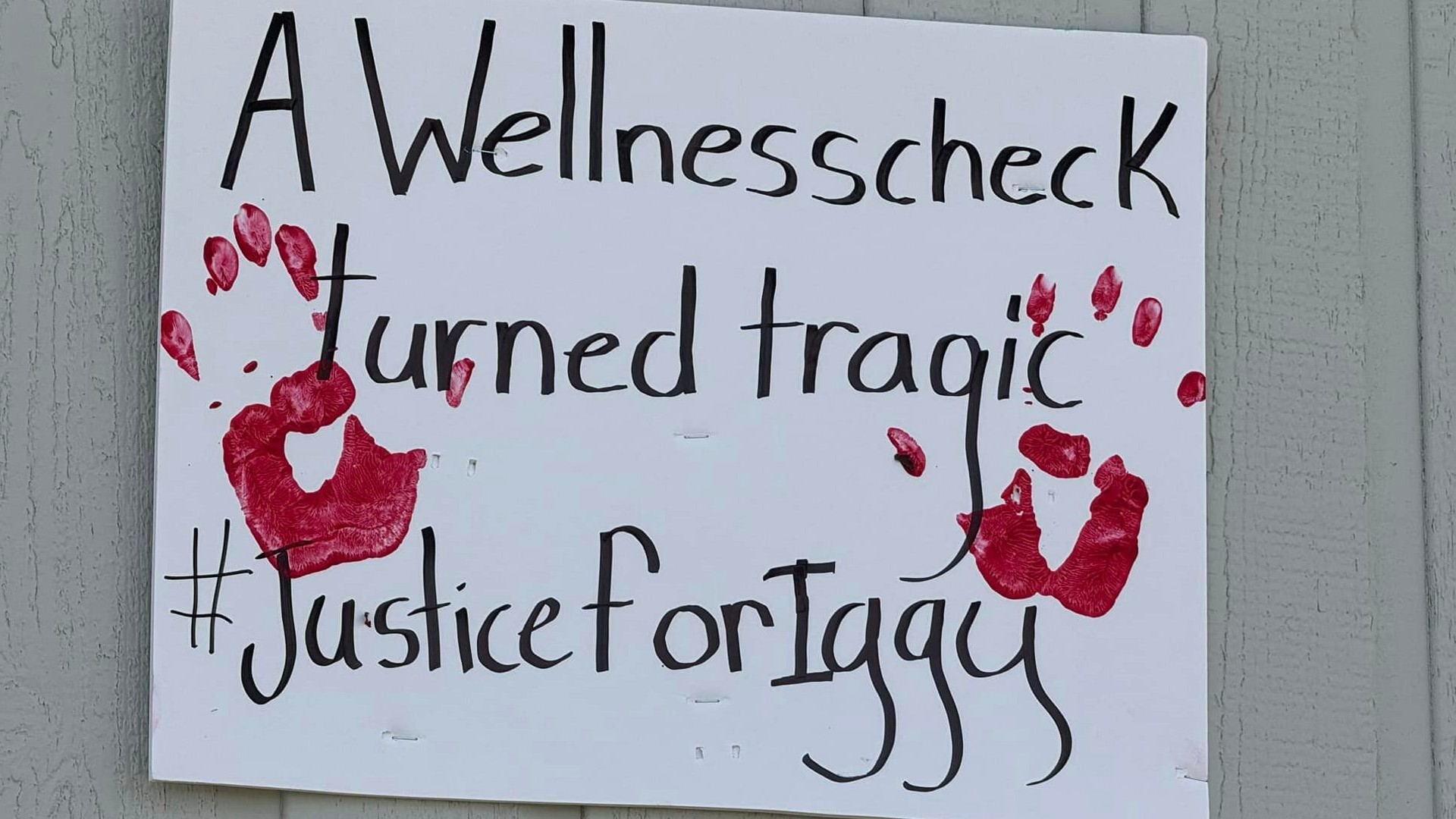 Use of force under scrutiny after fatal RCMP shooting in Elsipogtog ...